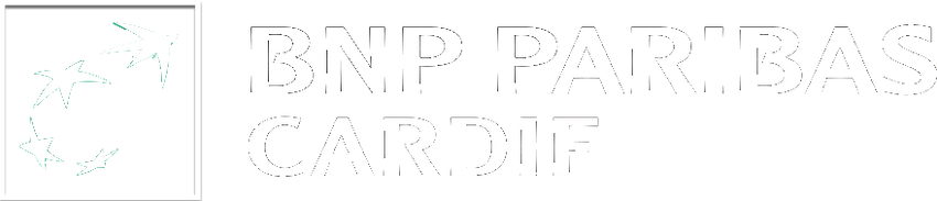 BNP Paribas Cardif | Domino Data Lab