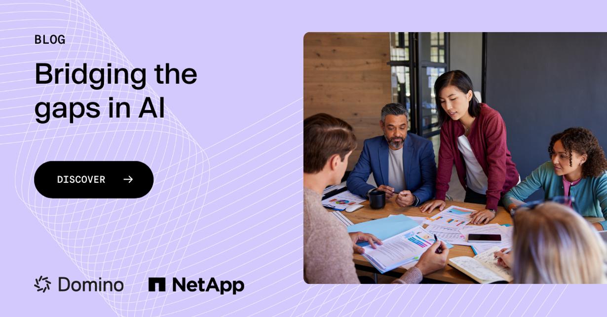 Bridging the gaps in AI: Domino + NetApp | Domino Data Lab