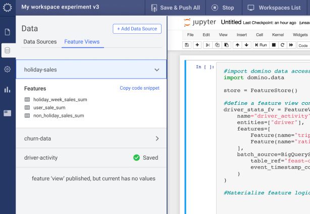 Data management platform | Domino Data Lab
