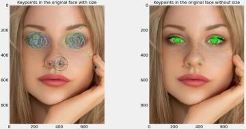 Feature extraction and image classification using OpenCV