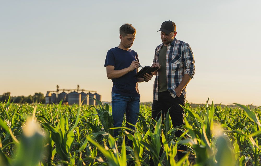 Transform faster. Govern smarter | Domino Data Lab