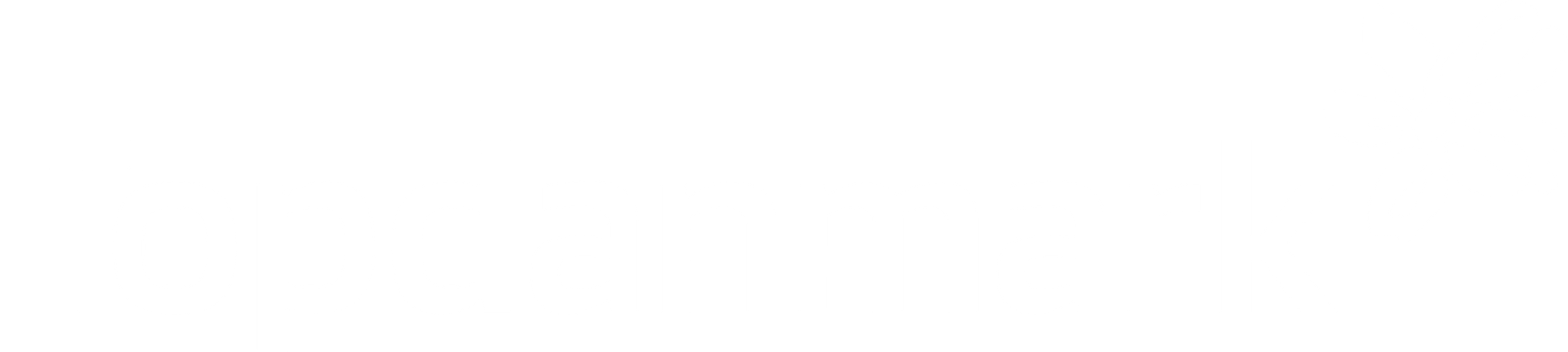 Topdanmark | Domino Data Lab