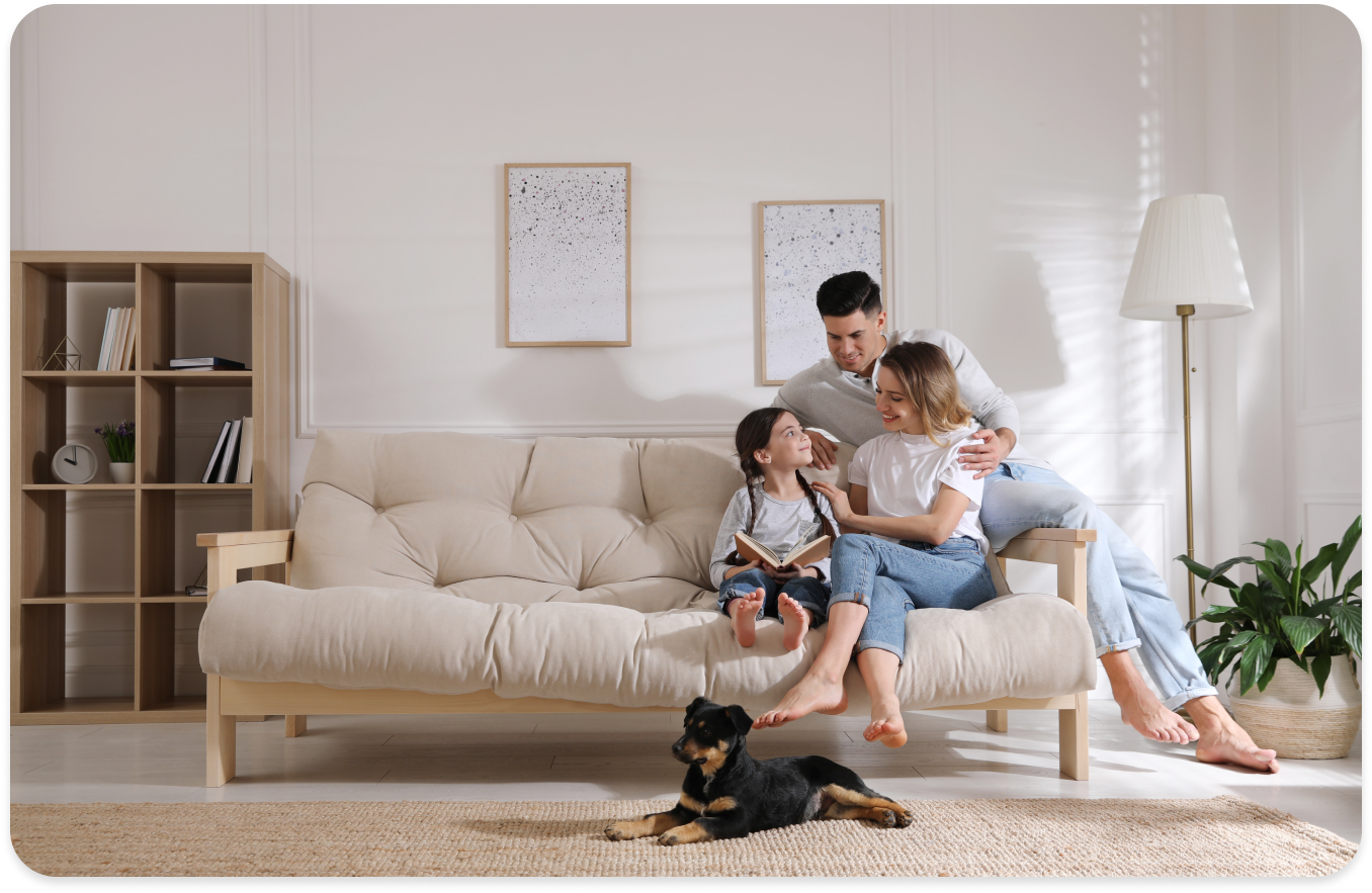 Useful Information | The Hanley