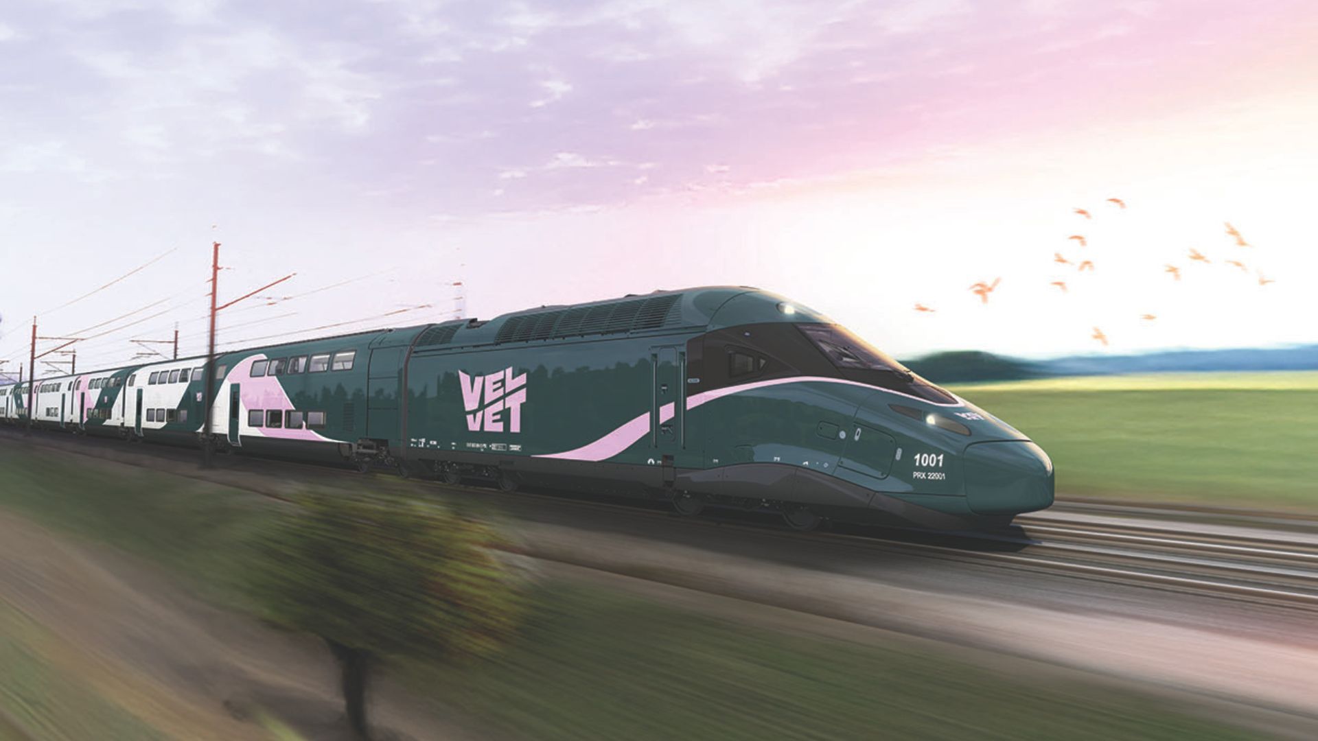 Velvet : tout savoir sur la 1ère compagnie privée de trains grande vitesse