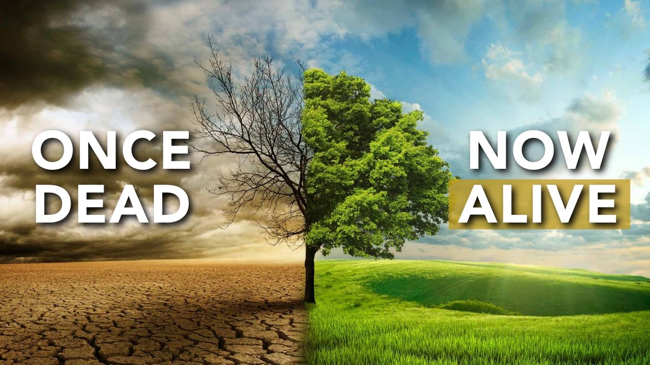 What Does It Mean — Once Dead and Now Alive in Christ? - Calvary Tucson ...