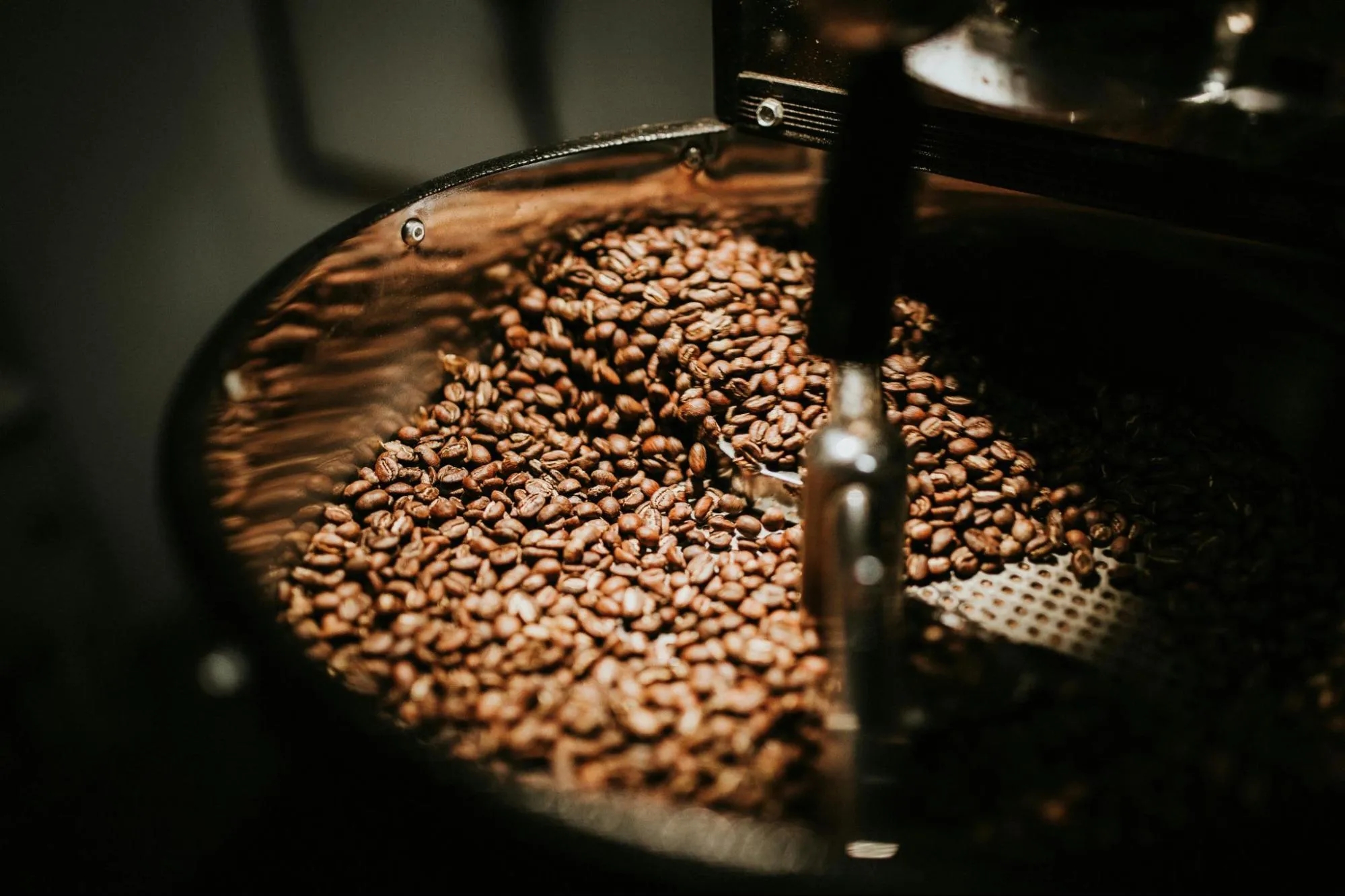 Mimi Nguyen, Founder, Cafely - Small Business Leader