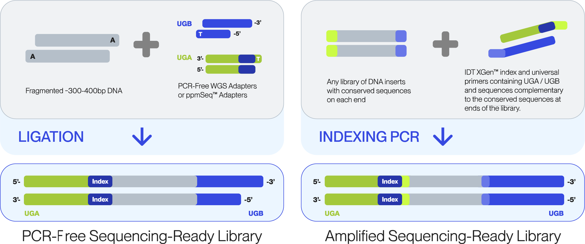 Solaris Free & Solaris Flex | Flexible Library Prep Workflows | Ultima ...