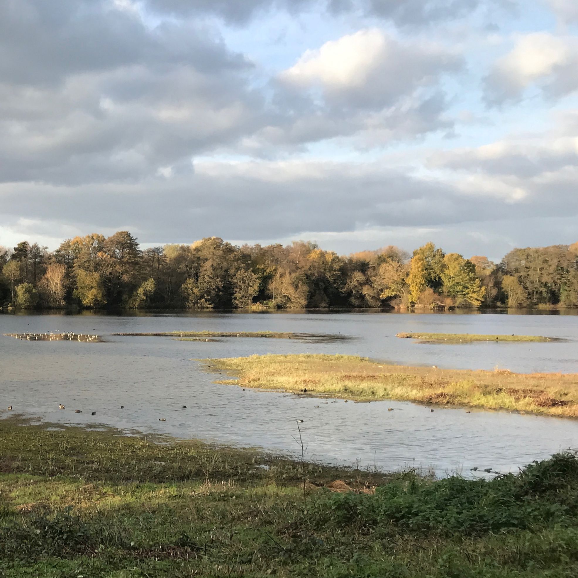 Sevenoaks Visitors’ Centre | Nick Hill Architects