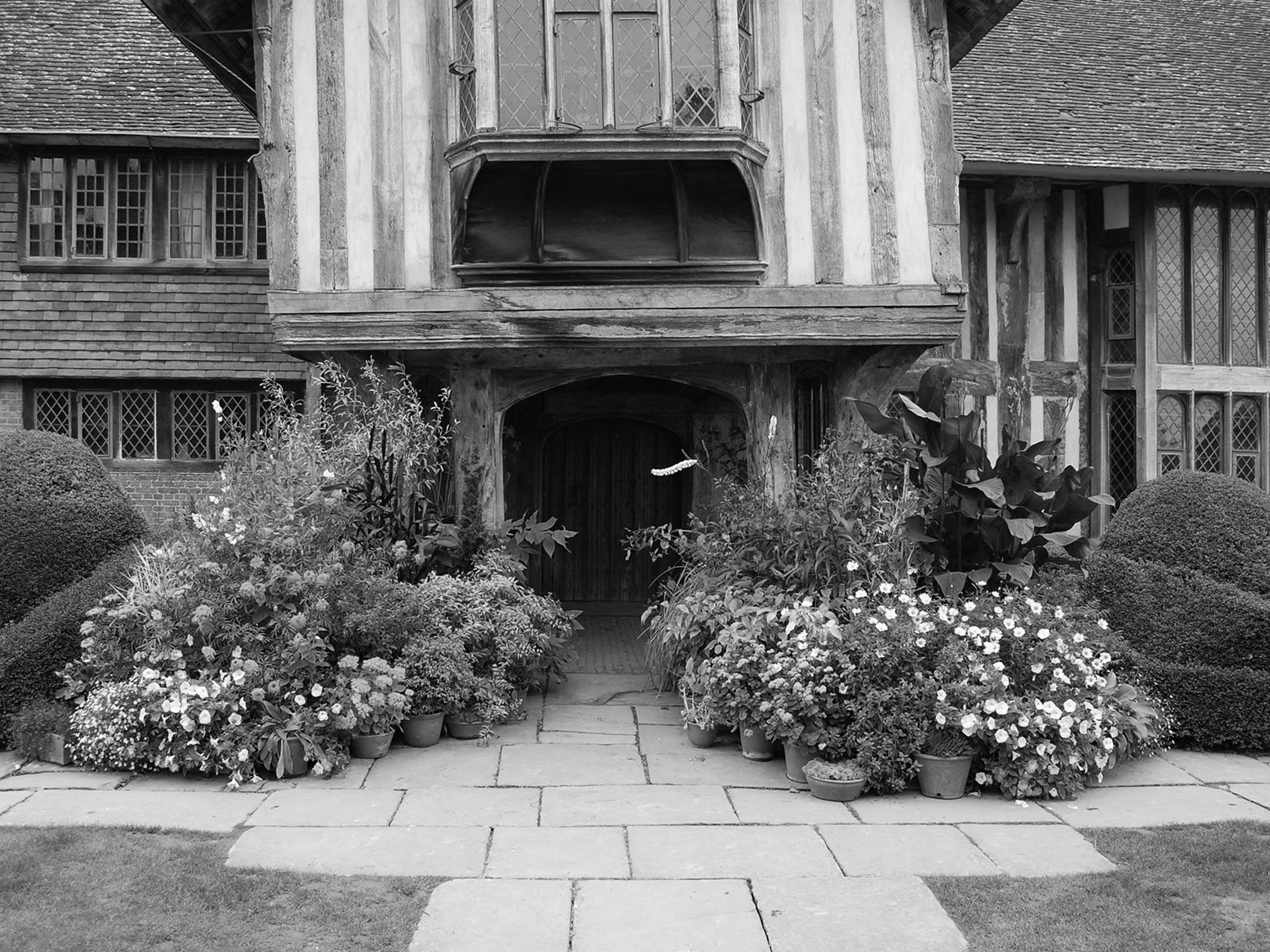 Notting Hill Garden House | Nick Hill Architects