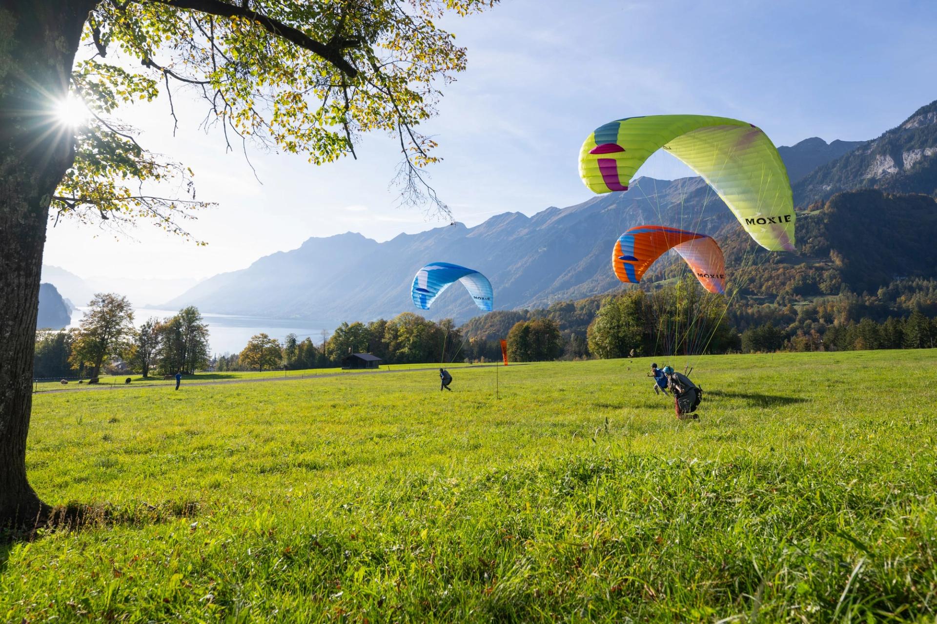 Moxie | Ozone Paragliders
