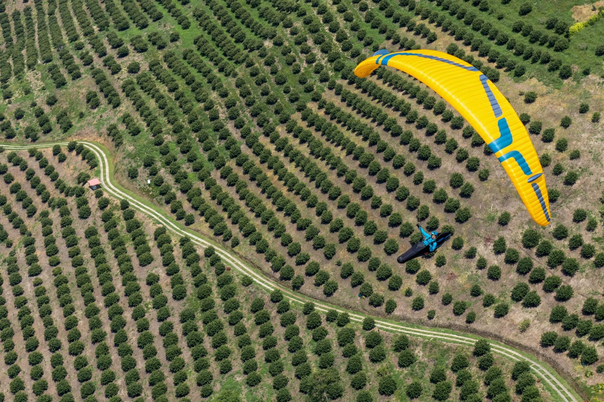 Photon | Ozone Paragliders