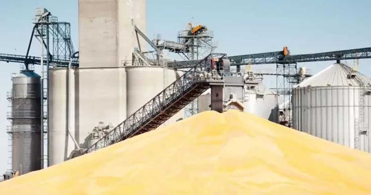 Grain Hazard Monitoring