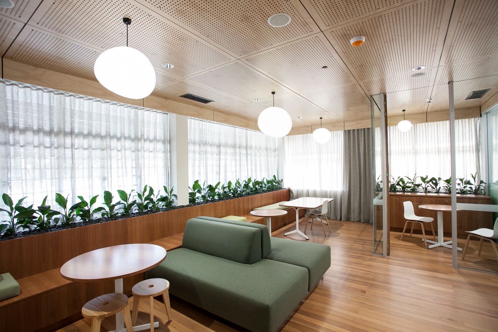 Locally Made Acoustic Product by Decor Systems