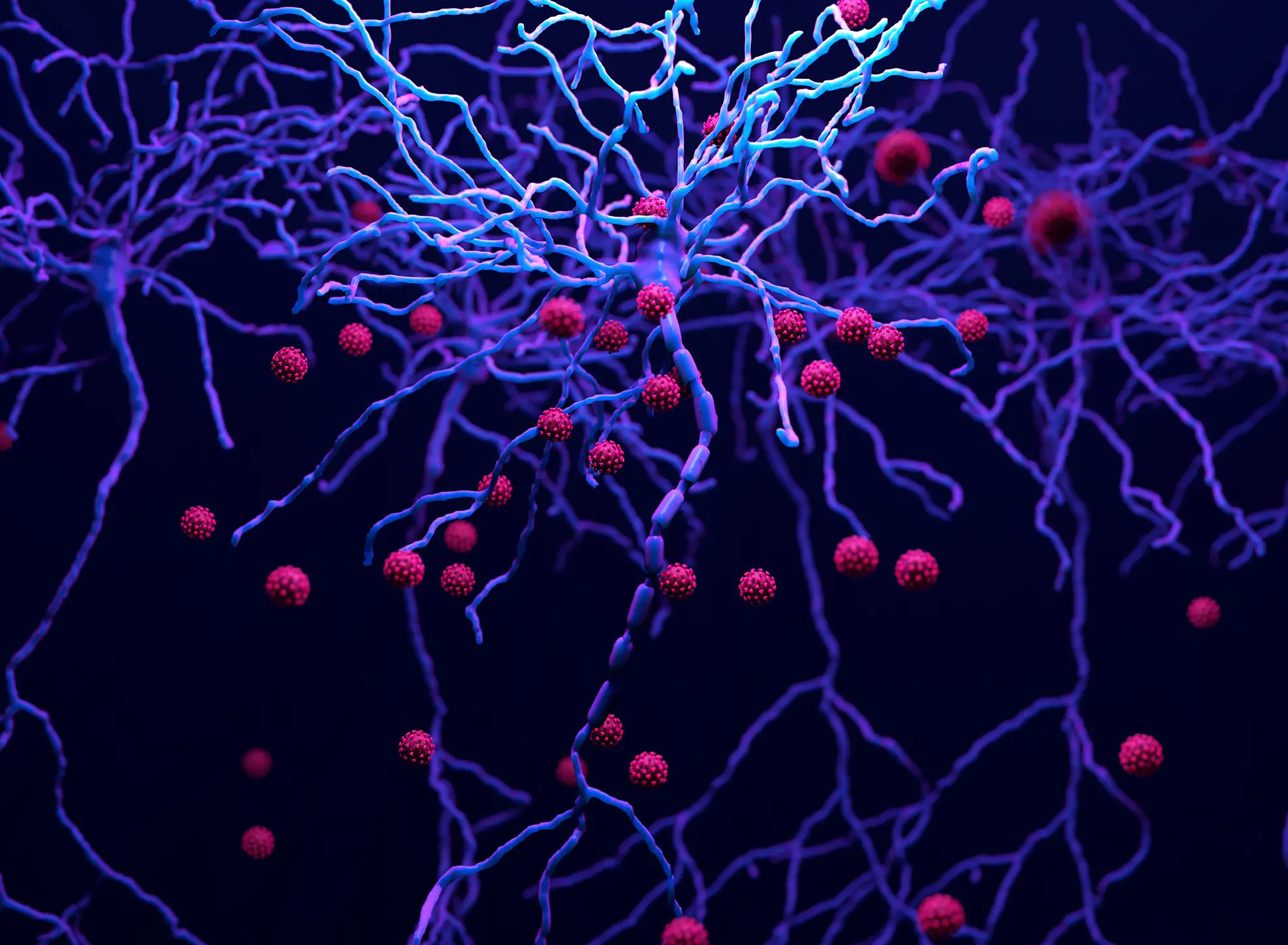 Getting to the Root of Neuroinflammation