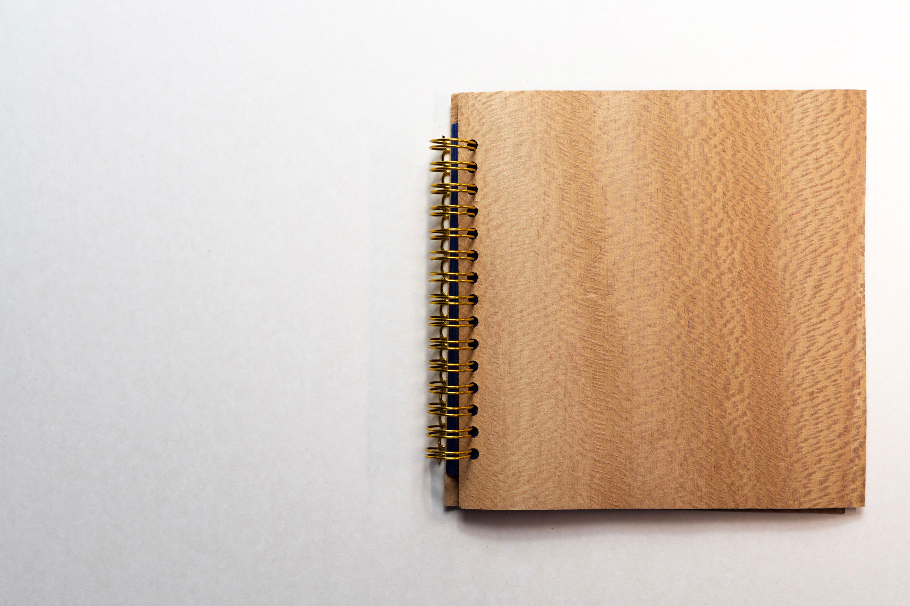 T53 | Raffaella della Olga