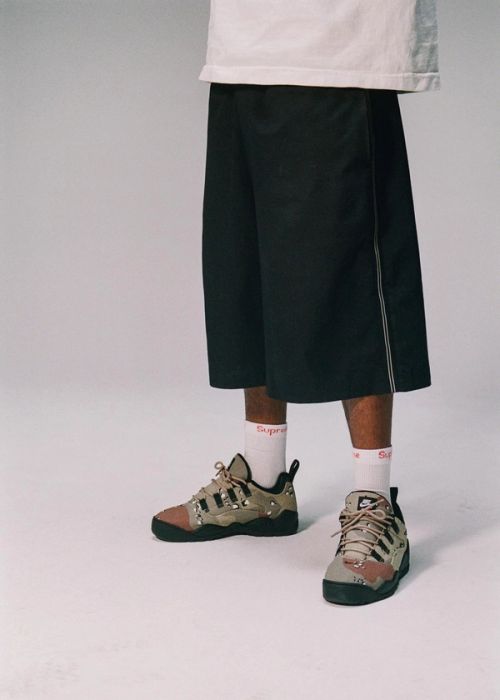 Supreme®/Nike SB Darwin Low – Gallery – Supreme