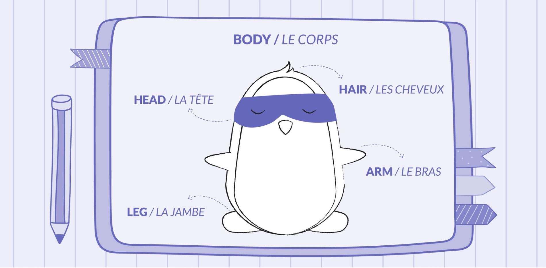 Learn Vocabulary: Body Parts in French | Readle