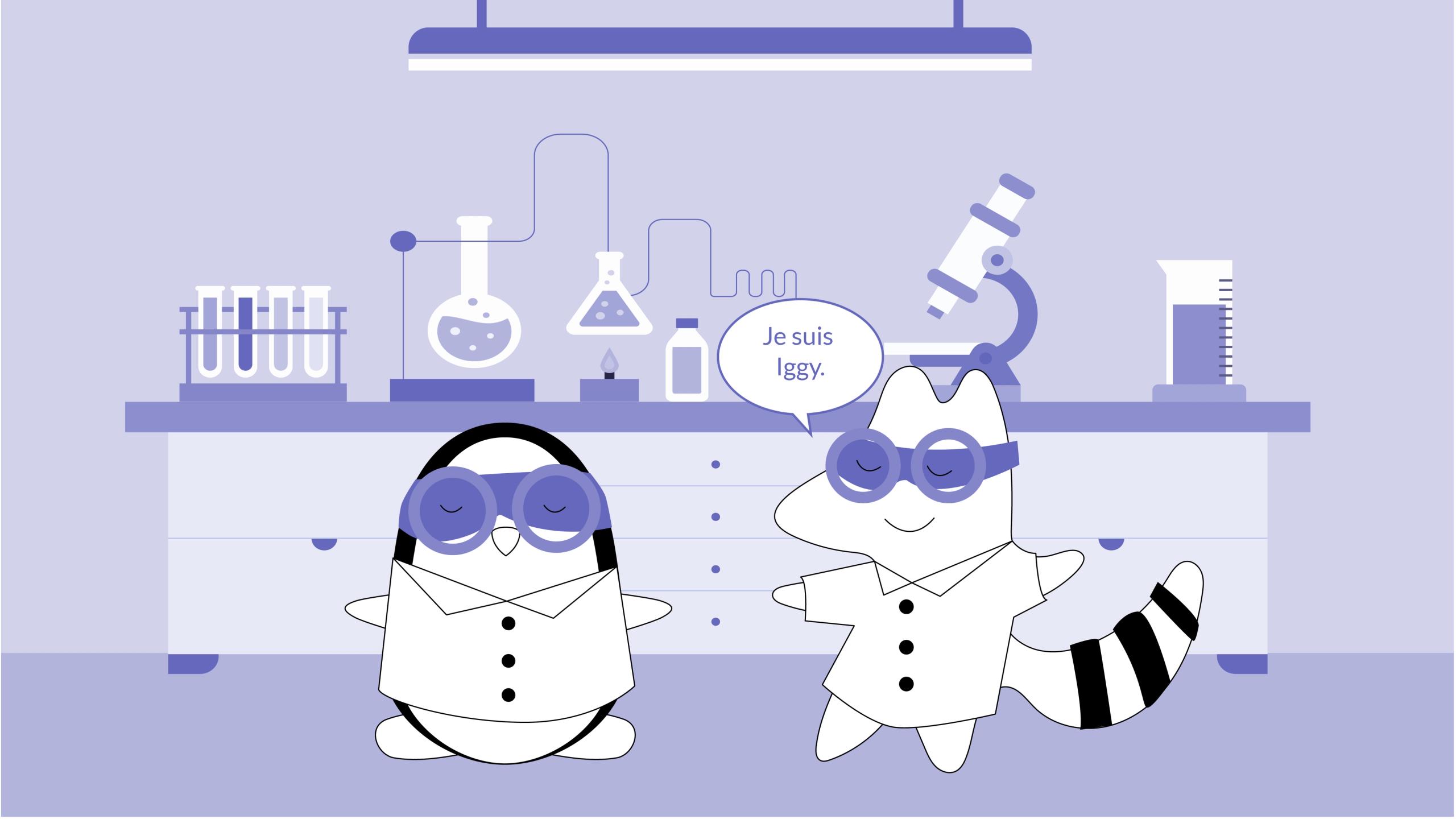 First Impressions: How to Ask “What Is Your Name” in French? | Readle