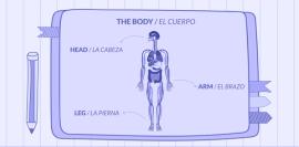 Body Parts in Spanish: The Only Guide You'll Need | Readle
