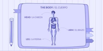 Body Parts in Spanish: The Only Guide You'll Need | Readle