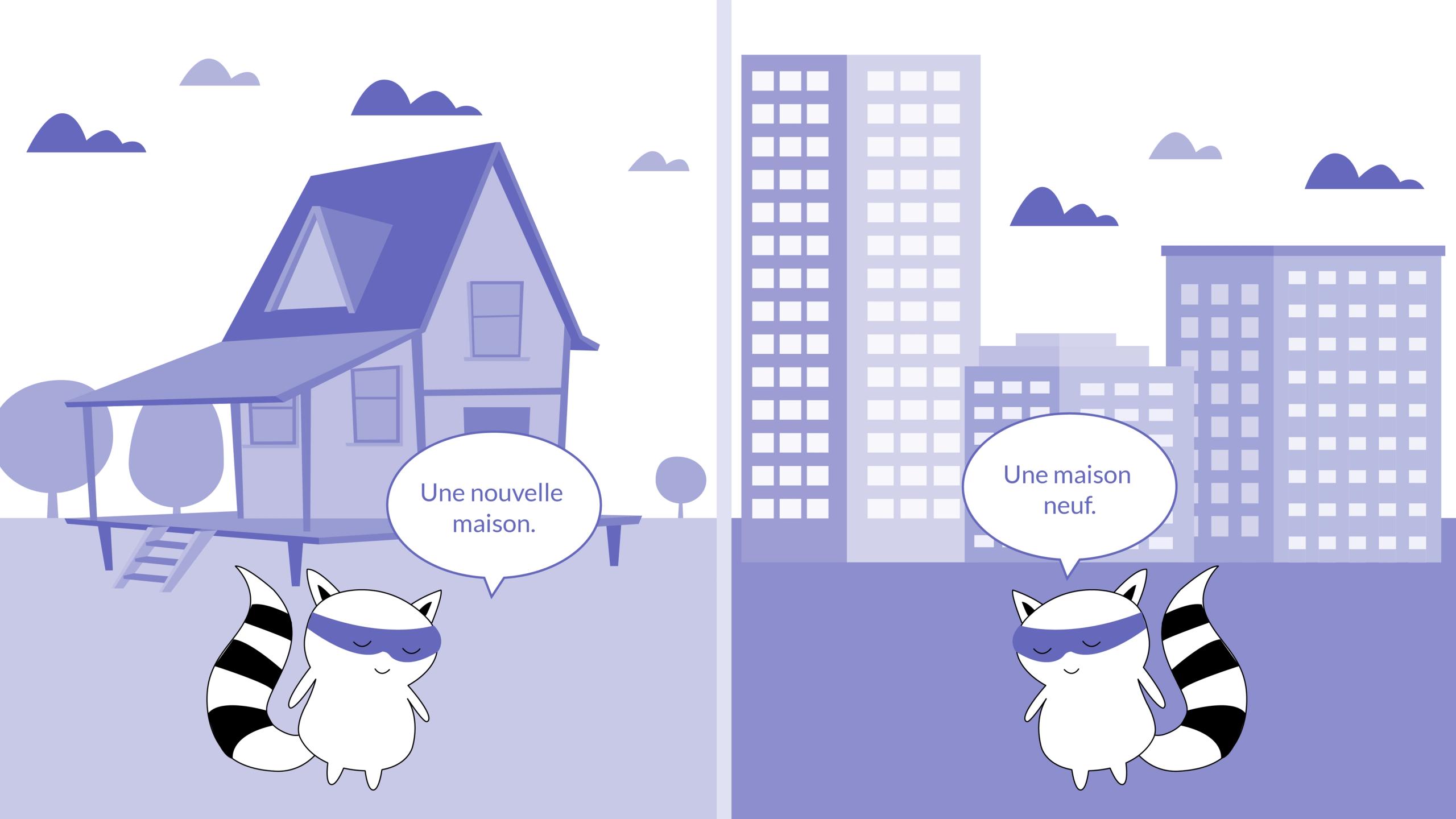 Nouveau or Neuf? Find Out How to Articulate “New” in French | Readle