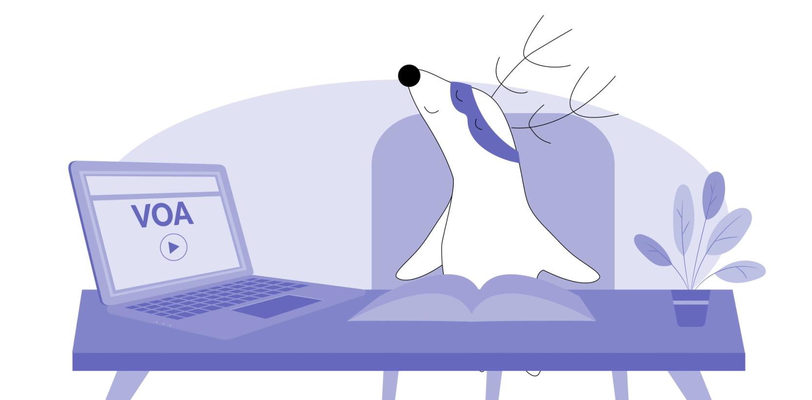 Mastering Language Skills with VOA Learning English | Readle