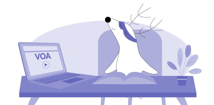 Mastering Language Skills with VOA Learning English | Readle