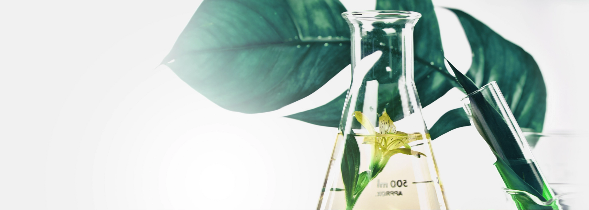 Home | Superior Natural Products - Science First - Designs for Health