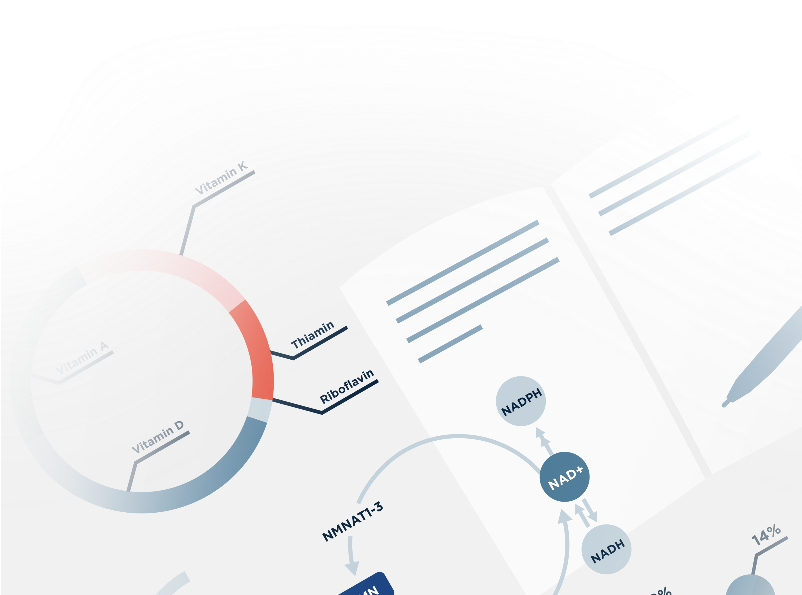 Home | Superior Natural Products - Science First - Designs for Health