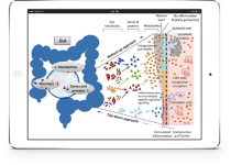 GI-MAP™ - Comprehensive Stool Analysis - Feces Pathogens Test ...