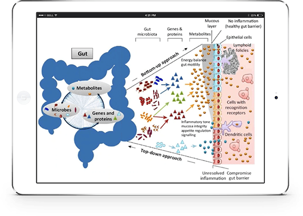 GI-MAP™ - Comprehensive Stool Analysis - Feces Pathogens Test ...
