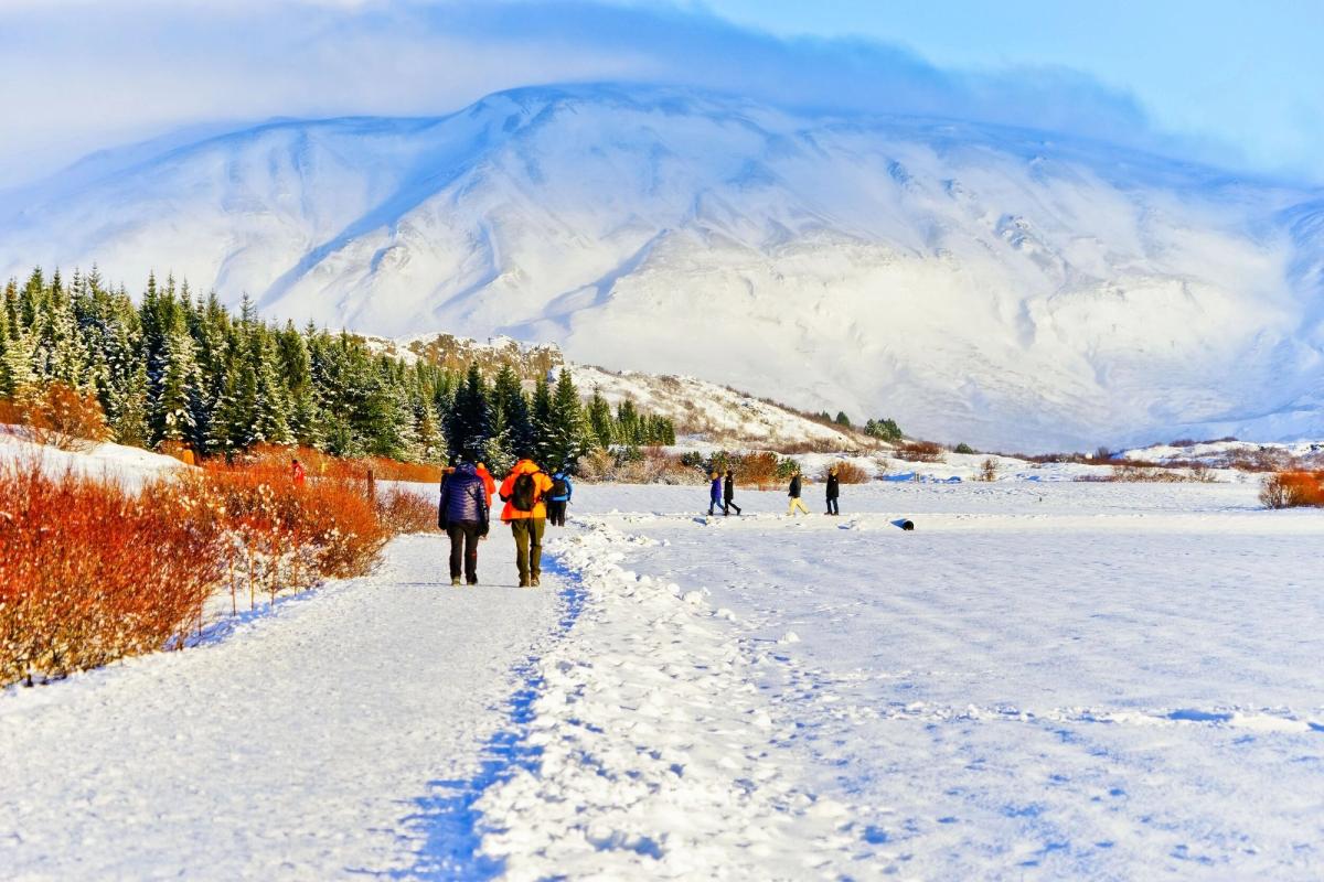 Discover the Magic of Thingvellir: Iceland's Historic and Natural Wonder