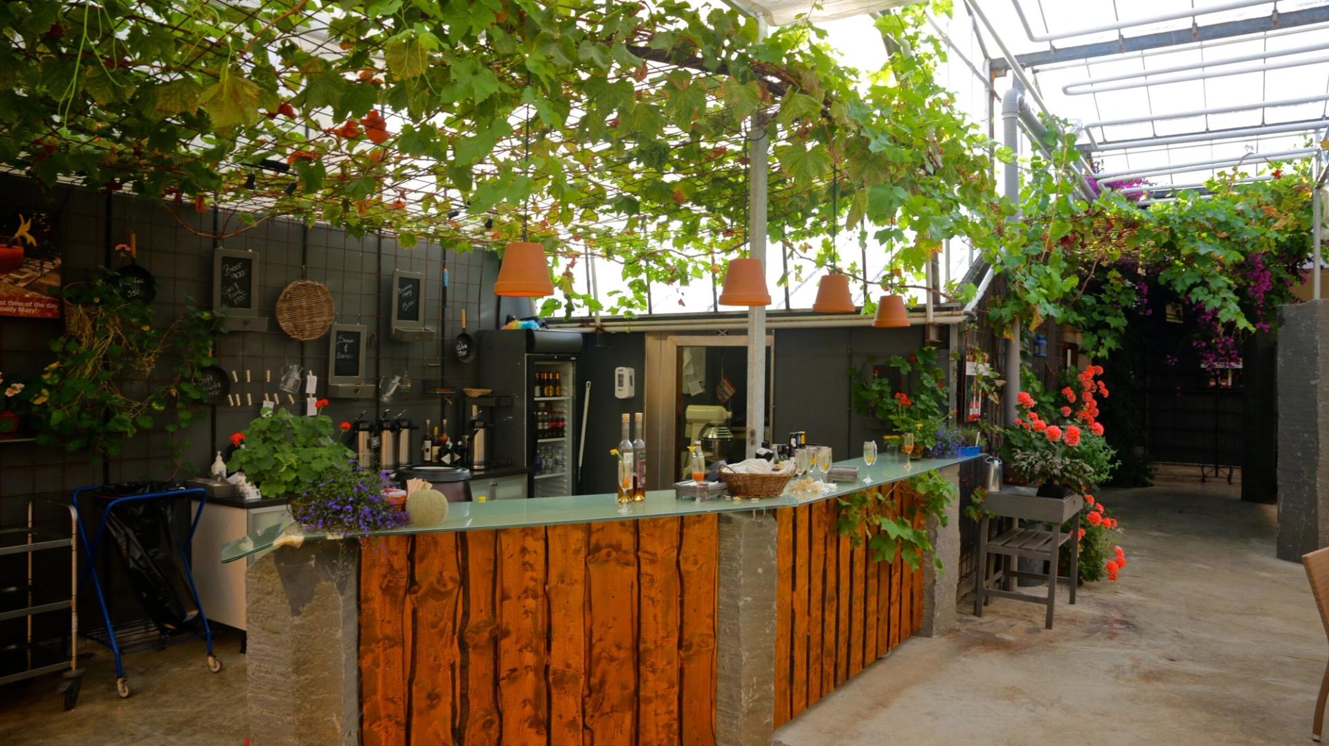 Friðheimar: Golden Circle’s Tomato Farm Gem