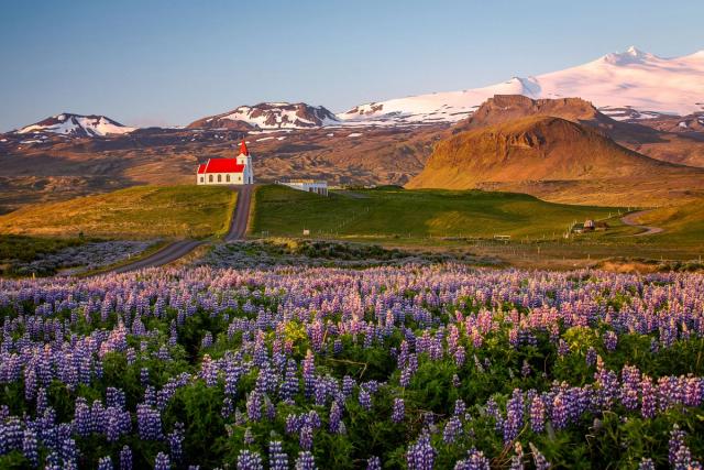 Discover Borgarnes: Where Nature Meets History