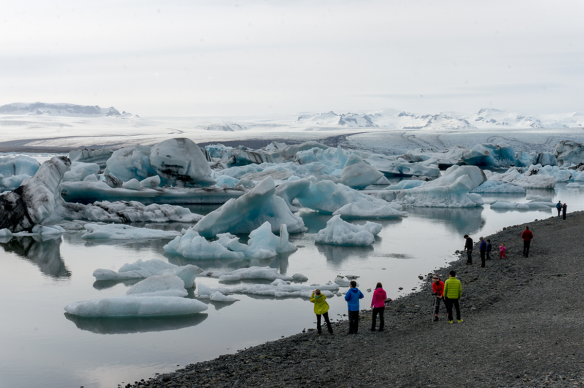 Explore Iceland's Majestic Glaciers with Expert Guides