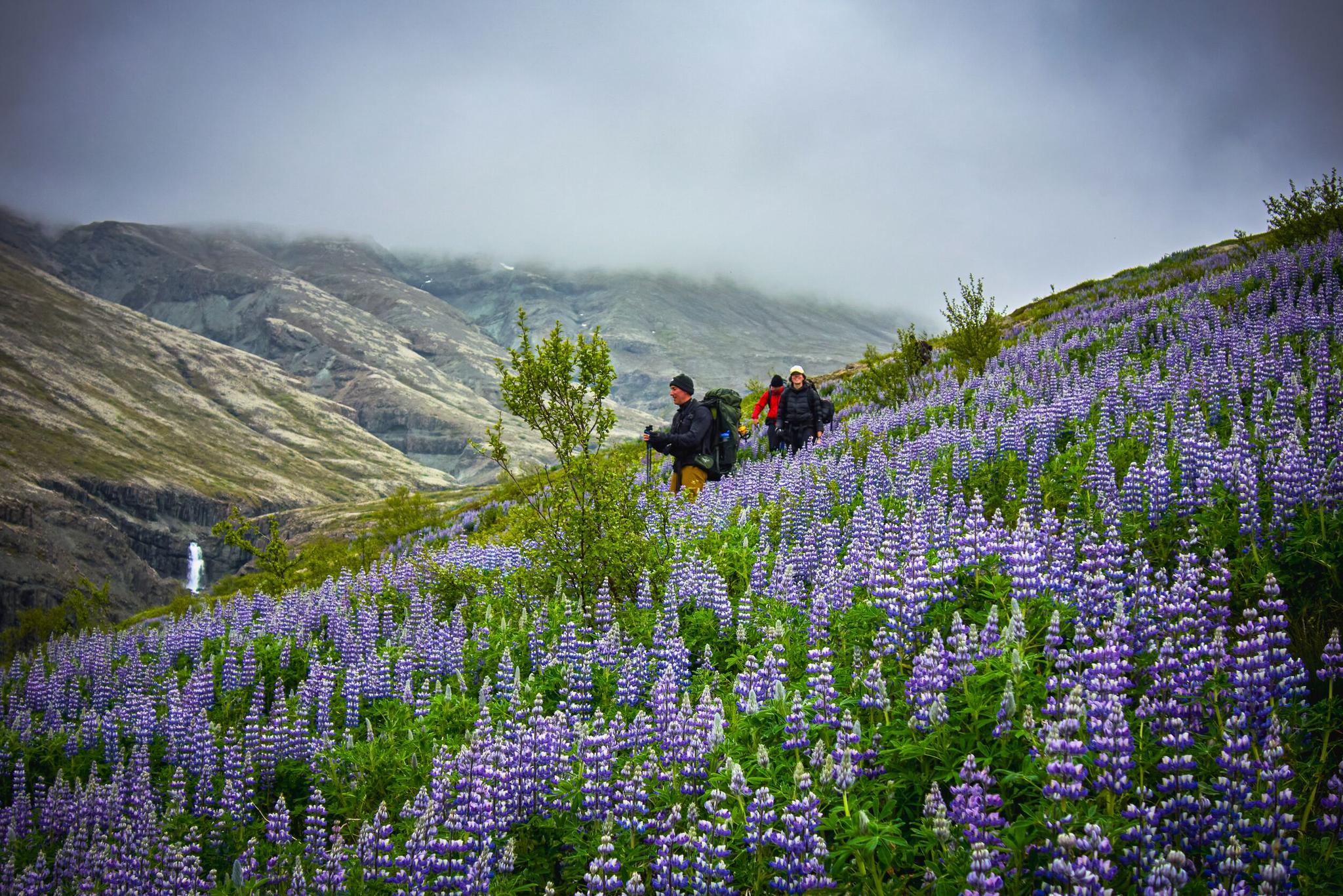Laugavegur Hike Guide - Know Before You Go | Icelandia