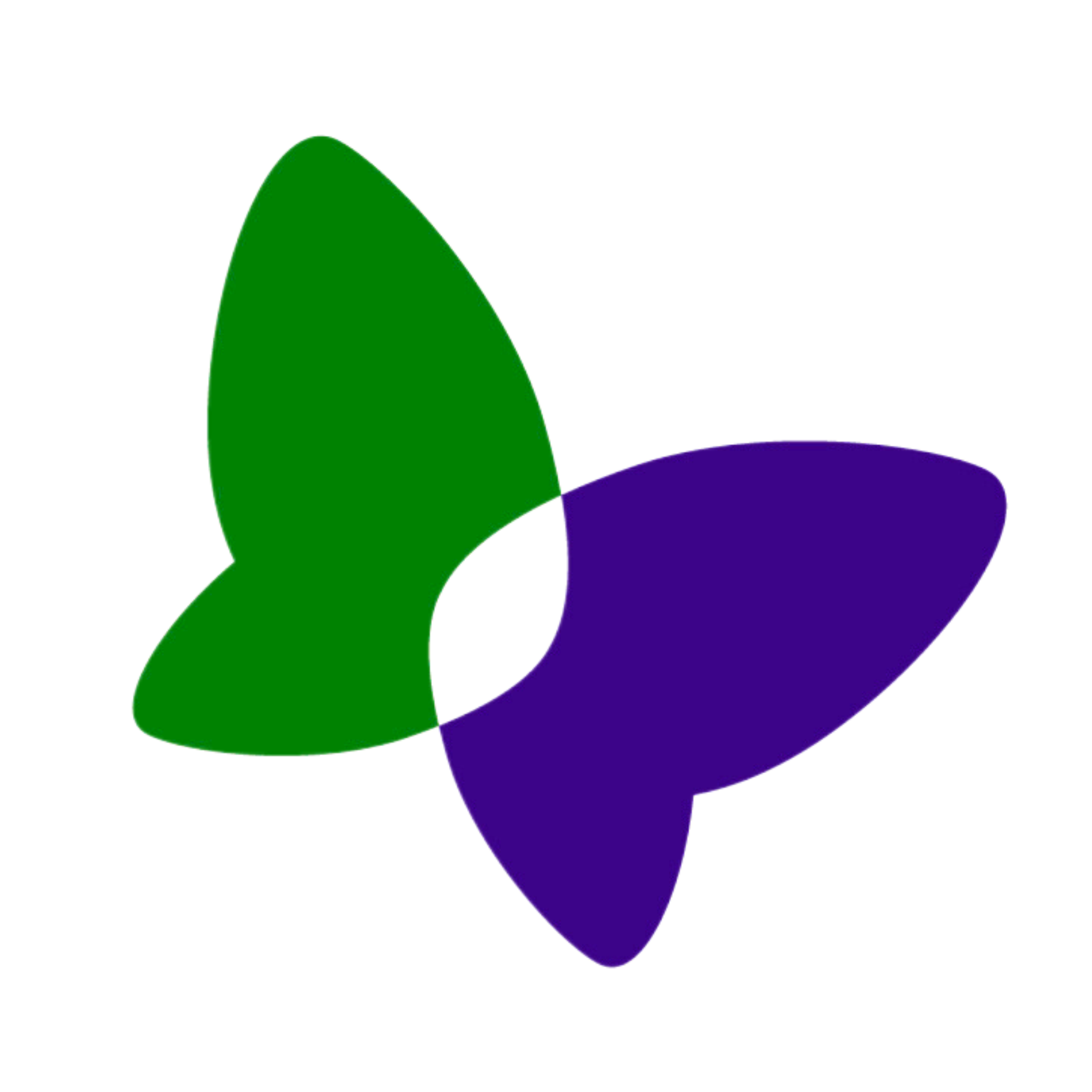 Team at People First New Zealand