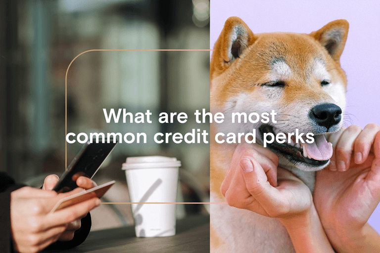 What Are The Most Common Credit Card Perks? How To Choose The Card For You