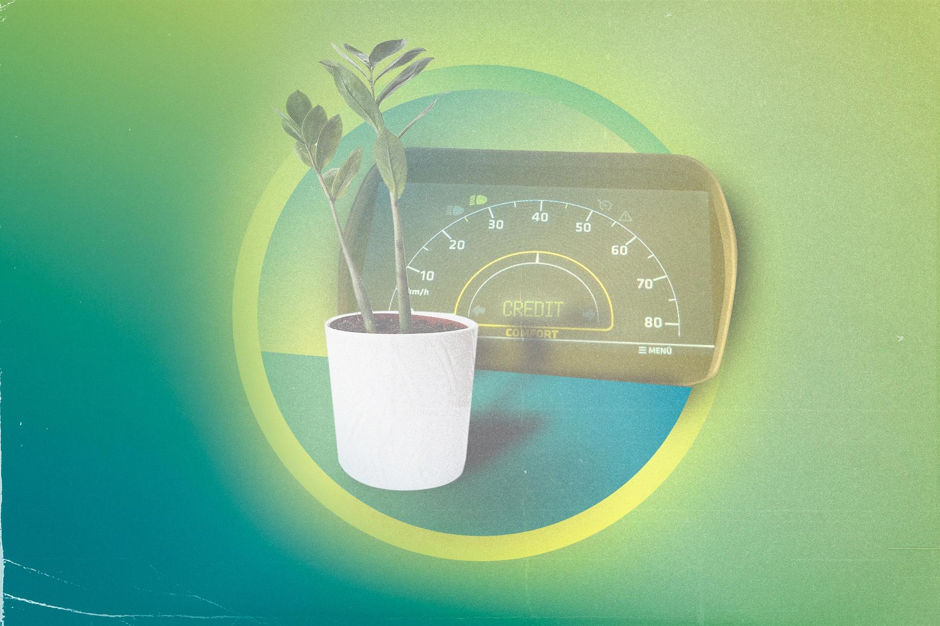 KOHO's Financial Blog for Canadians | Tips for Saving & Budgeting