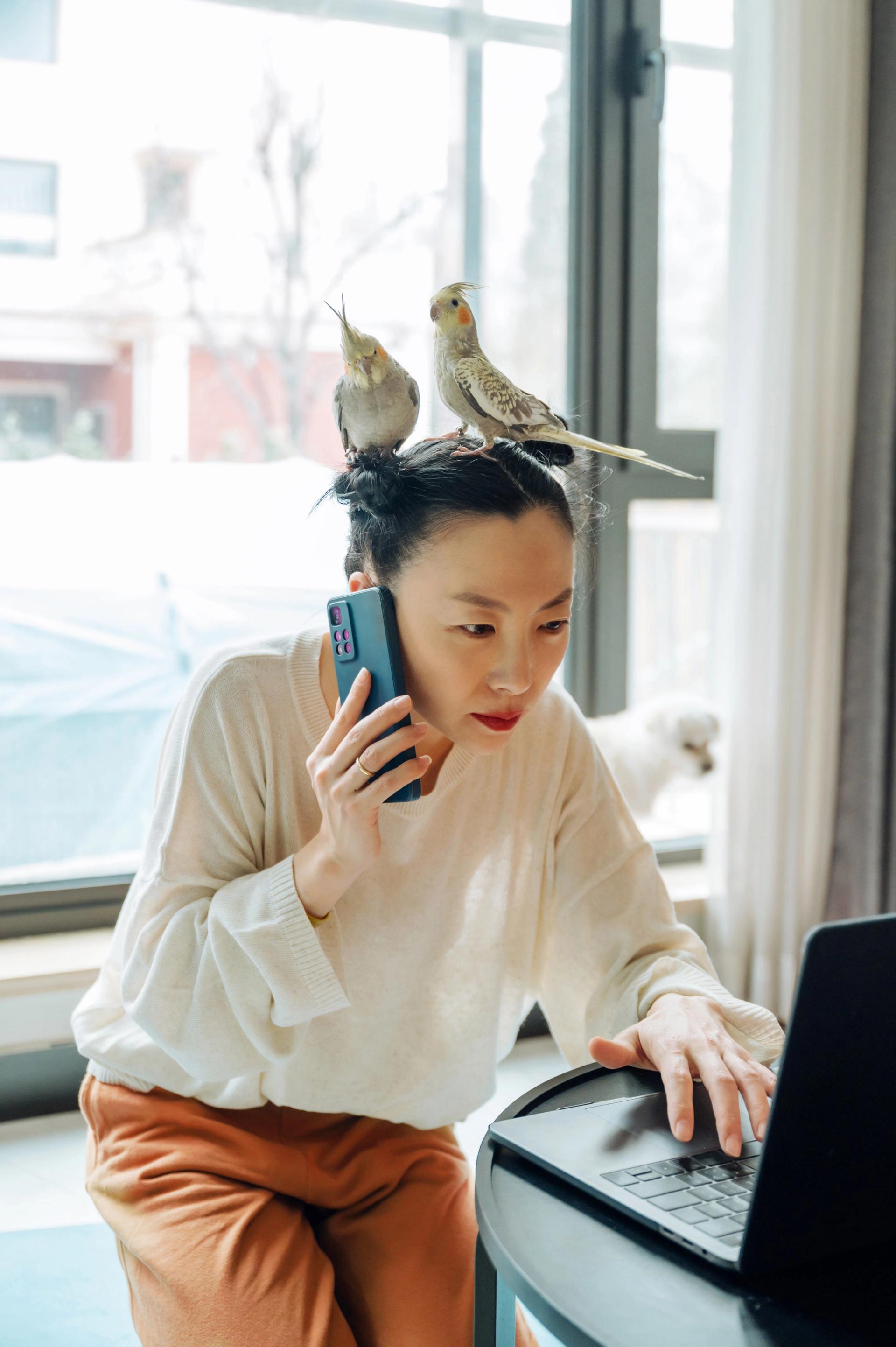 Contact KOHO's Helpful Customer Support Team | Made For Your Money