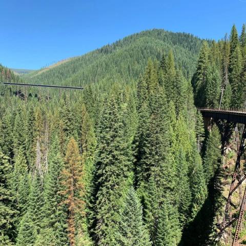 5-Day Adirondack Rail Trail Bike Tour