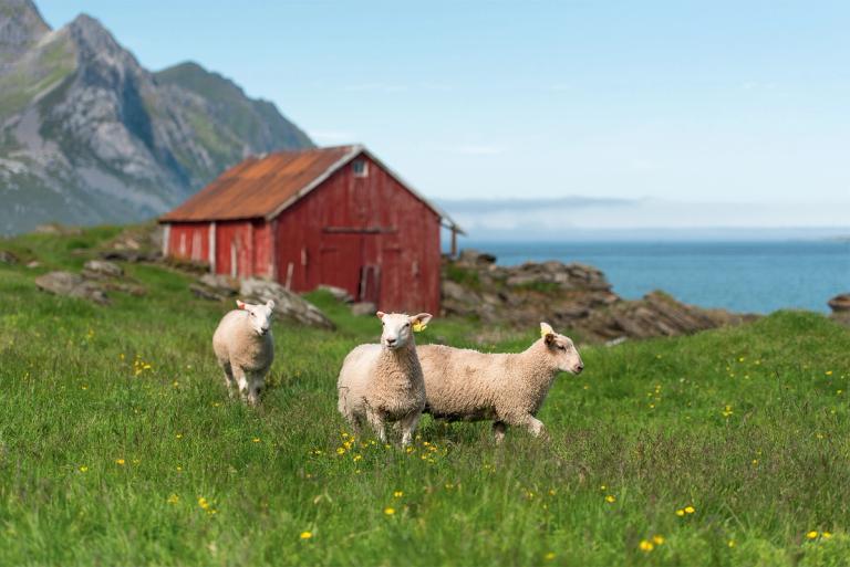 Made in Norway | Business Norway
