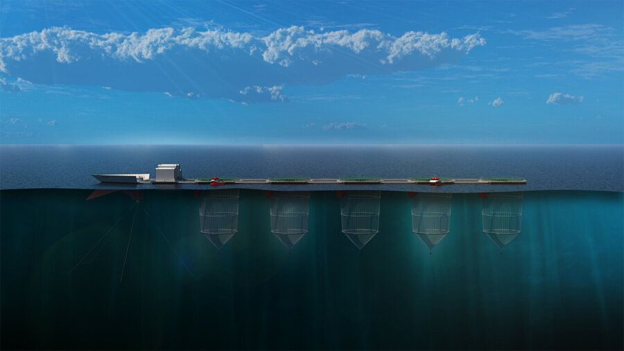 EVN delivers vessels for sustainable offshore fish farming | Business ...