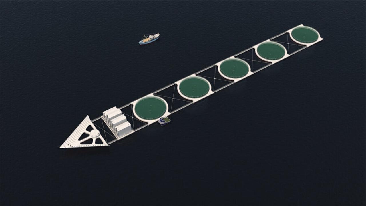 EVN delivers vessels for sustainable offshore fish farming | Business ...