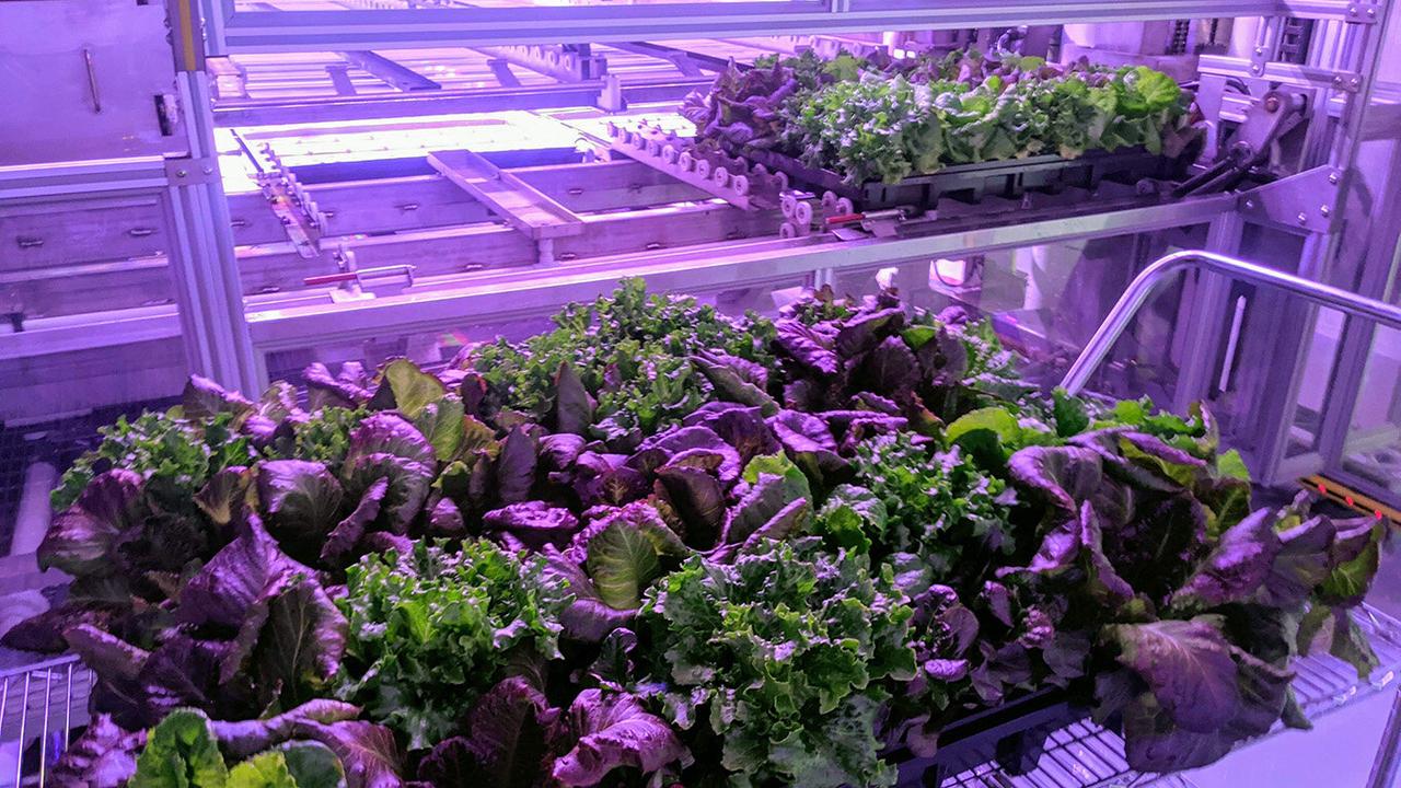 Norwegian agritech is transforming farming through digitalisation ...