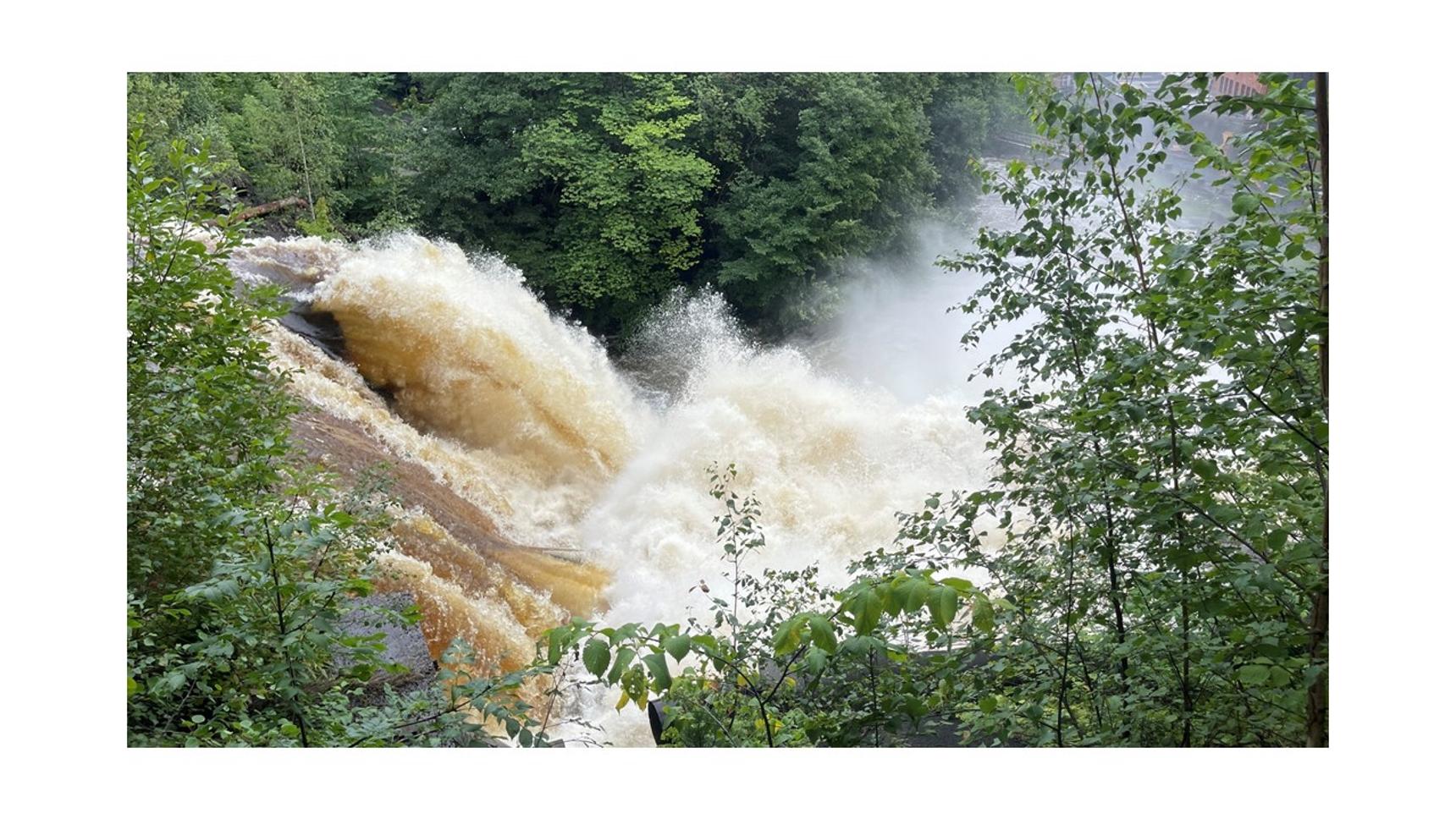 Colifast Field Kit™ gives rapid warning of E. coli in water | Business ...