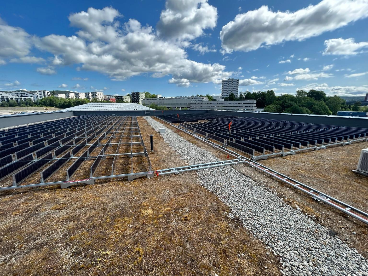 Over Easy Solar innovates vertical rooftop biosolar