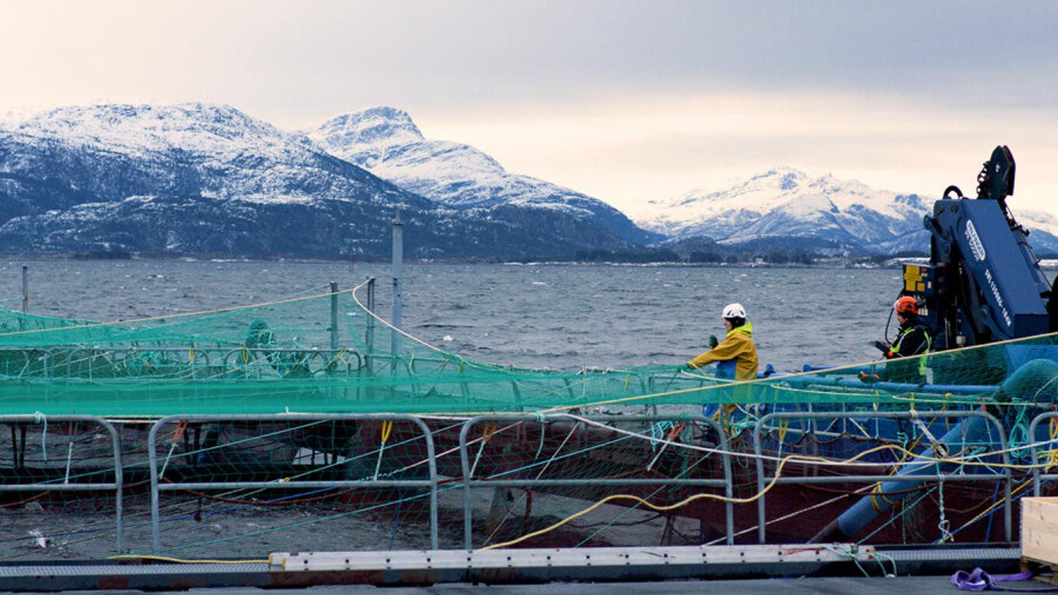 Norwegian technology for sustainable aquaculture | Business Norway