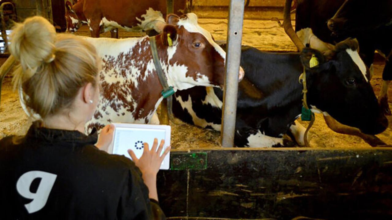 Norwegian agritech is making livestock farming better for the animals ...