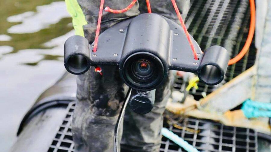 CreateView’s AI-driven image sensors promote fish welfare in aquaculture